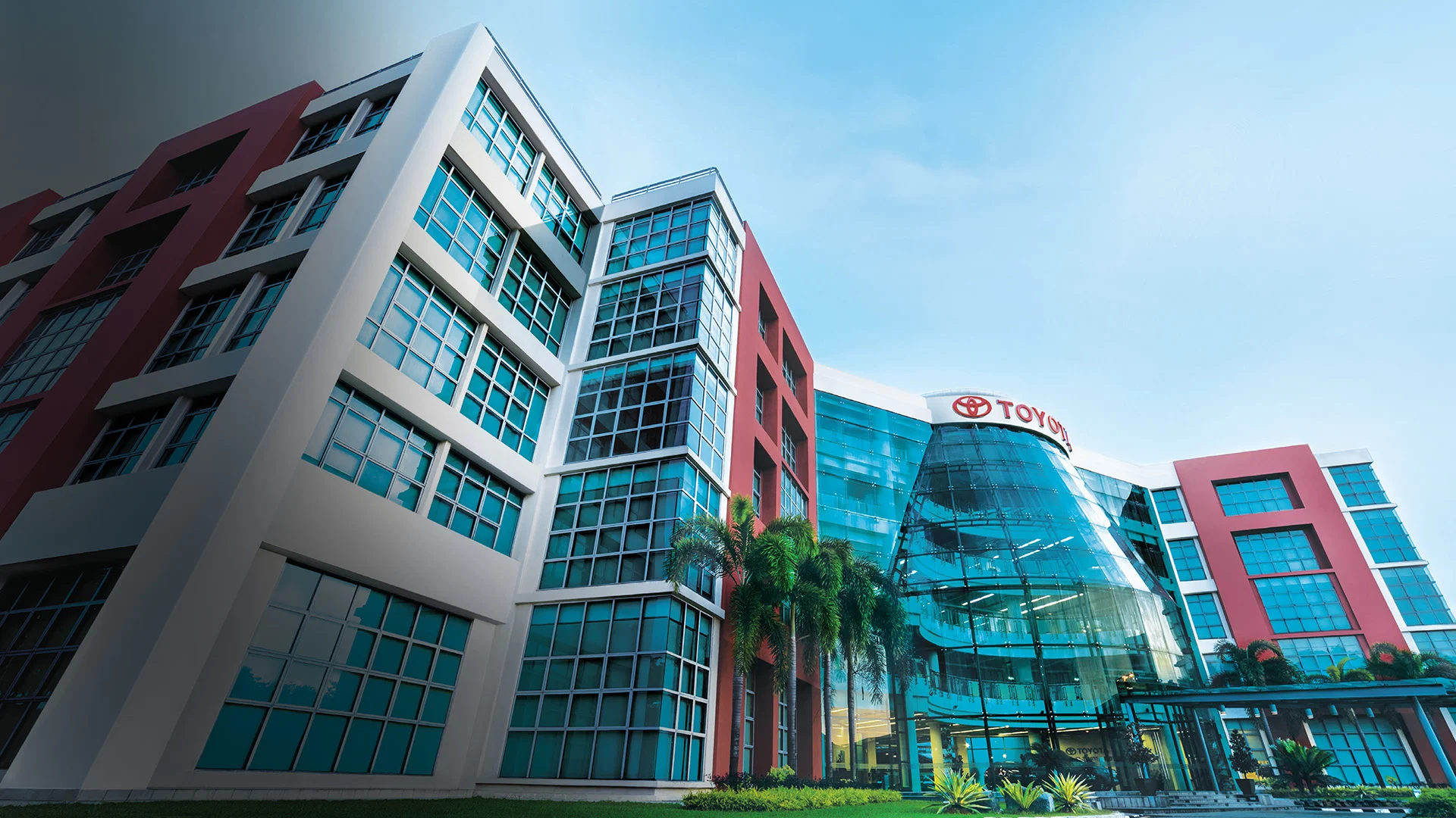 Back to Basics: Navigating Today’s Overcrowded Automotive Market - YS ...